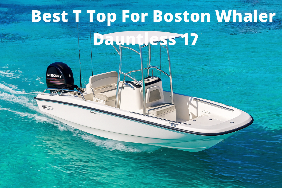 Best T Top for Boston Whaler Dauntless 17 | Dolphin Pro+ – Krypt T Tops